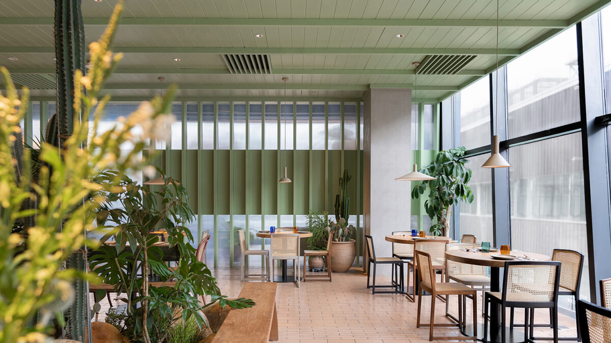 Y.not Restaurant : +c architects